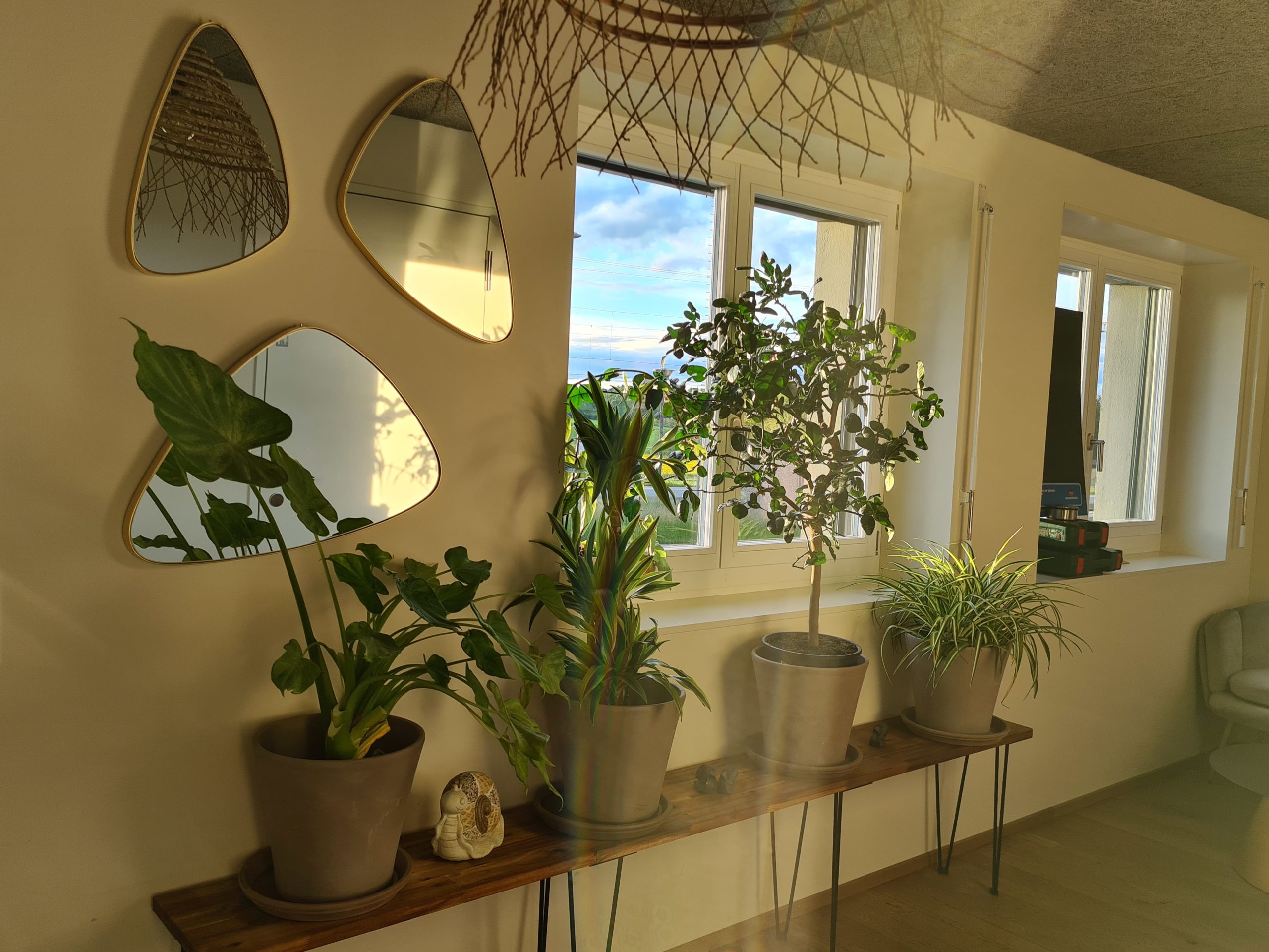 Restaurant Combava – Thai Bistro